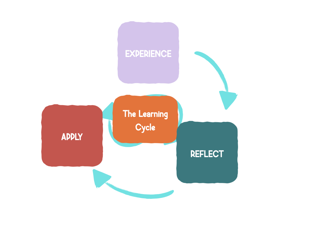 The Learning Cycle - Primal